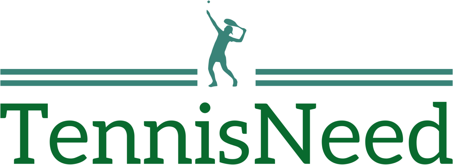 6 Best Tennis Racquets for Flat Hitters - TennisNeed