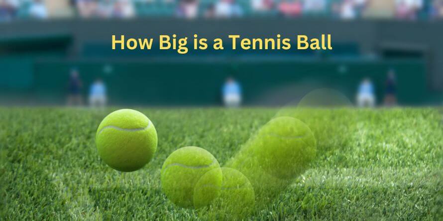 How Big is a Tennis Ball in Inches? - TennisNeed