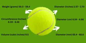 How Big is a Tennis Ball in Inches? - TennisNeed